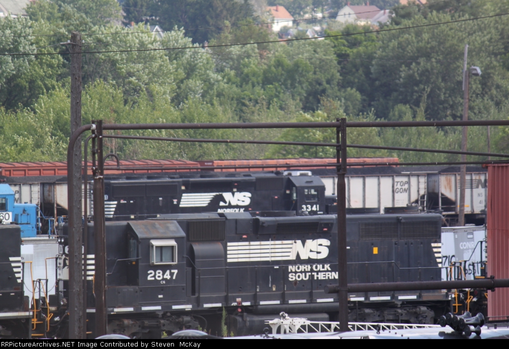 NS 3341